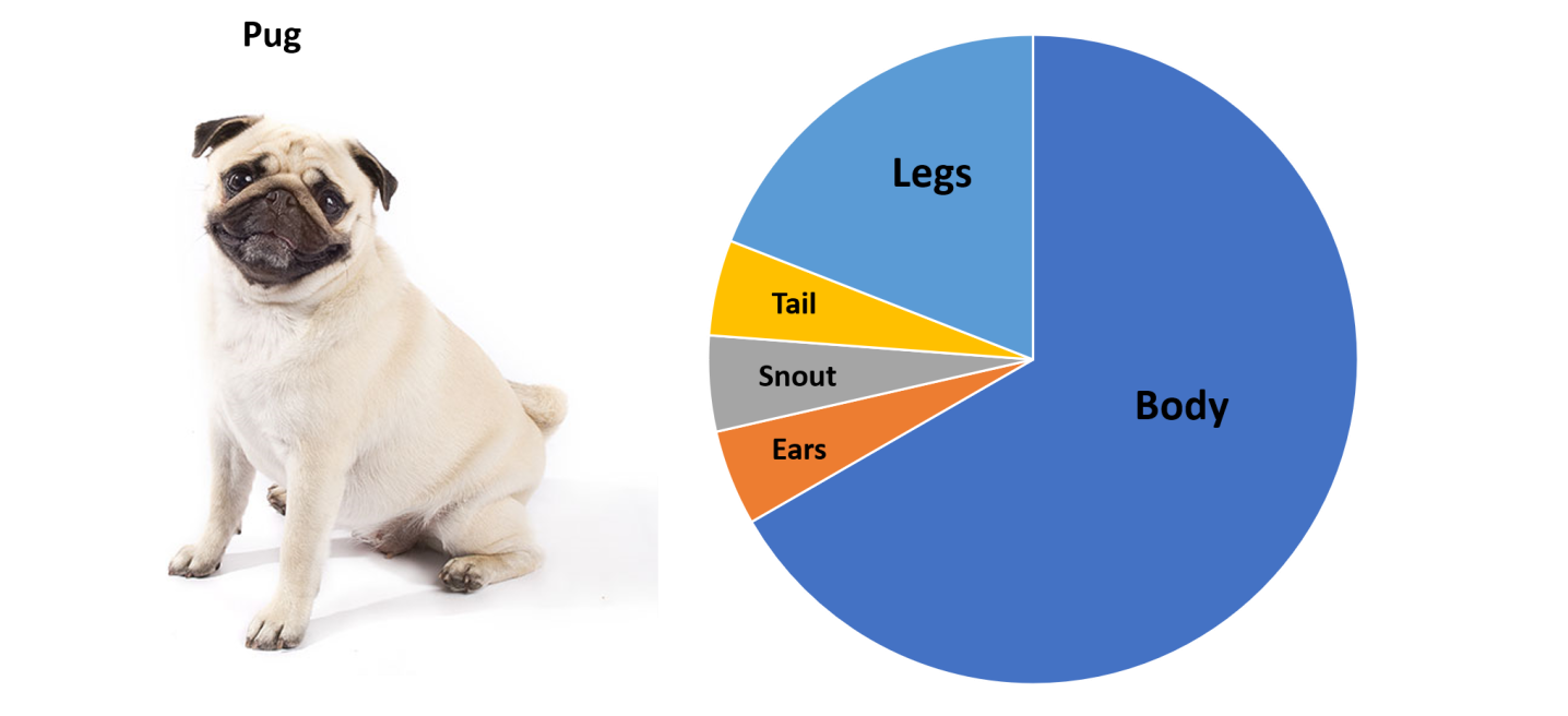 Pie Graphs of Dogs – John Rich TV